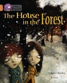 The House in the Forest by Janet Foxley | Goodreads