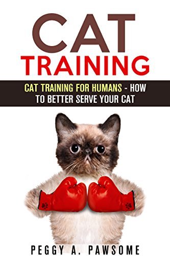 CAT TRAINING FOR HUMANS: OBEY THE CAT RULES OR THERE WILL BE TROUBLE ...