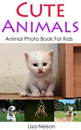 Cute Animals: Animals Photo Book for Kids by Lisa Nelson | Goodreads