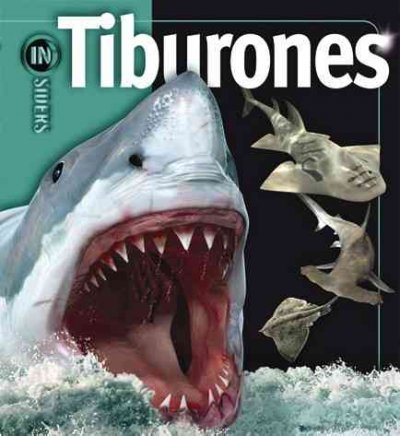 Tiburones / Sharks (Insiders) (Spanish Edition) by Beverly McMillan ...