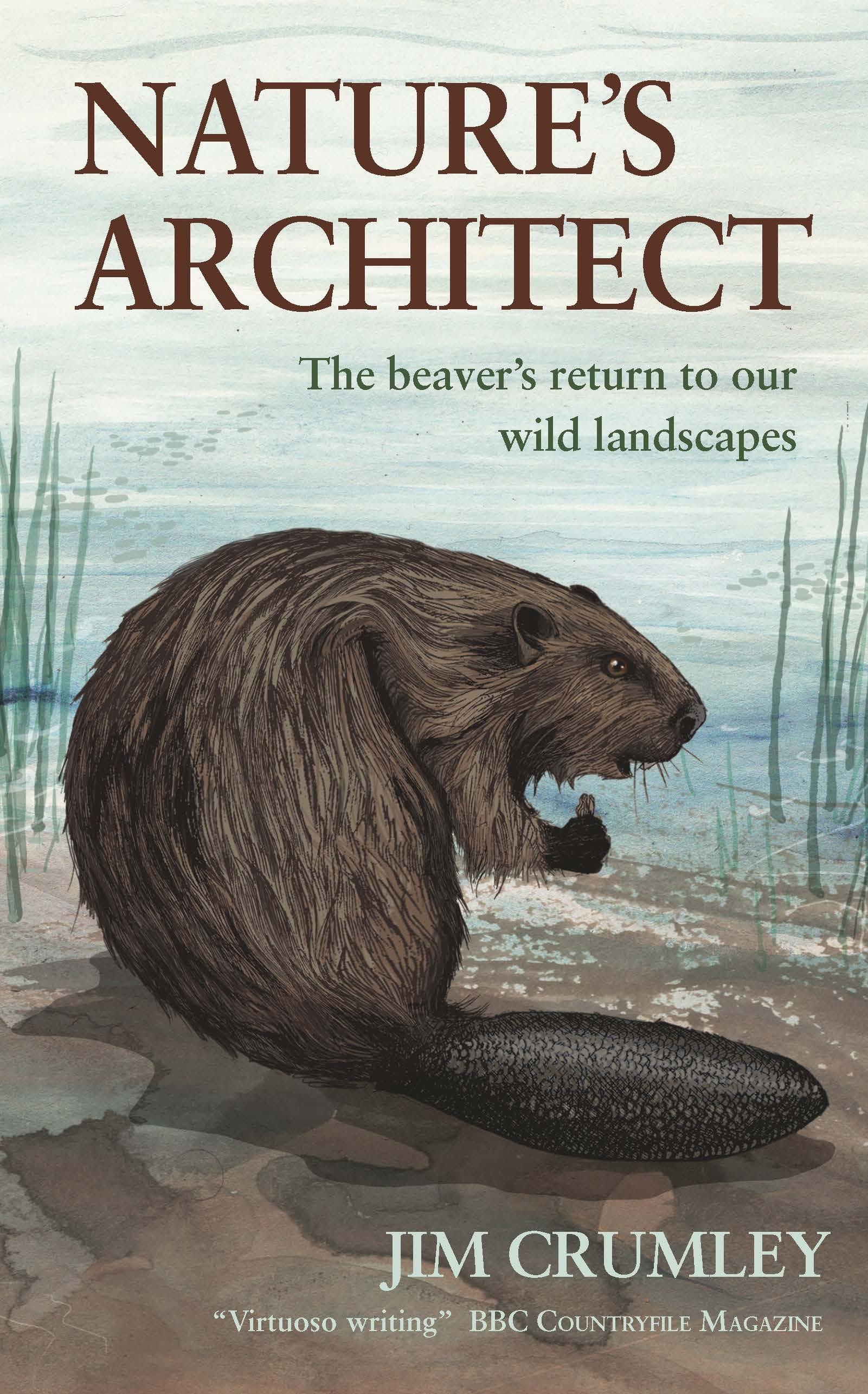 Nature's Architect: The beaver's return to our wild landscapes by Jim ...