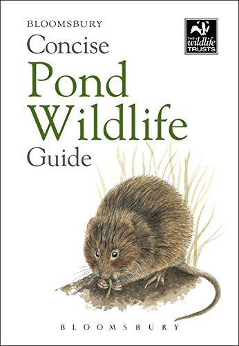 Concise Pond Wildlife Guide (Concise Guides) by Bloomsbury | Goodreads