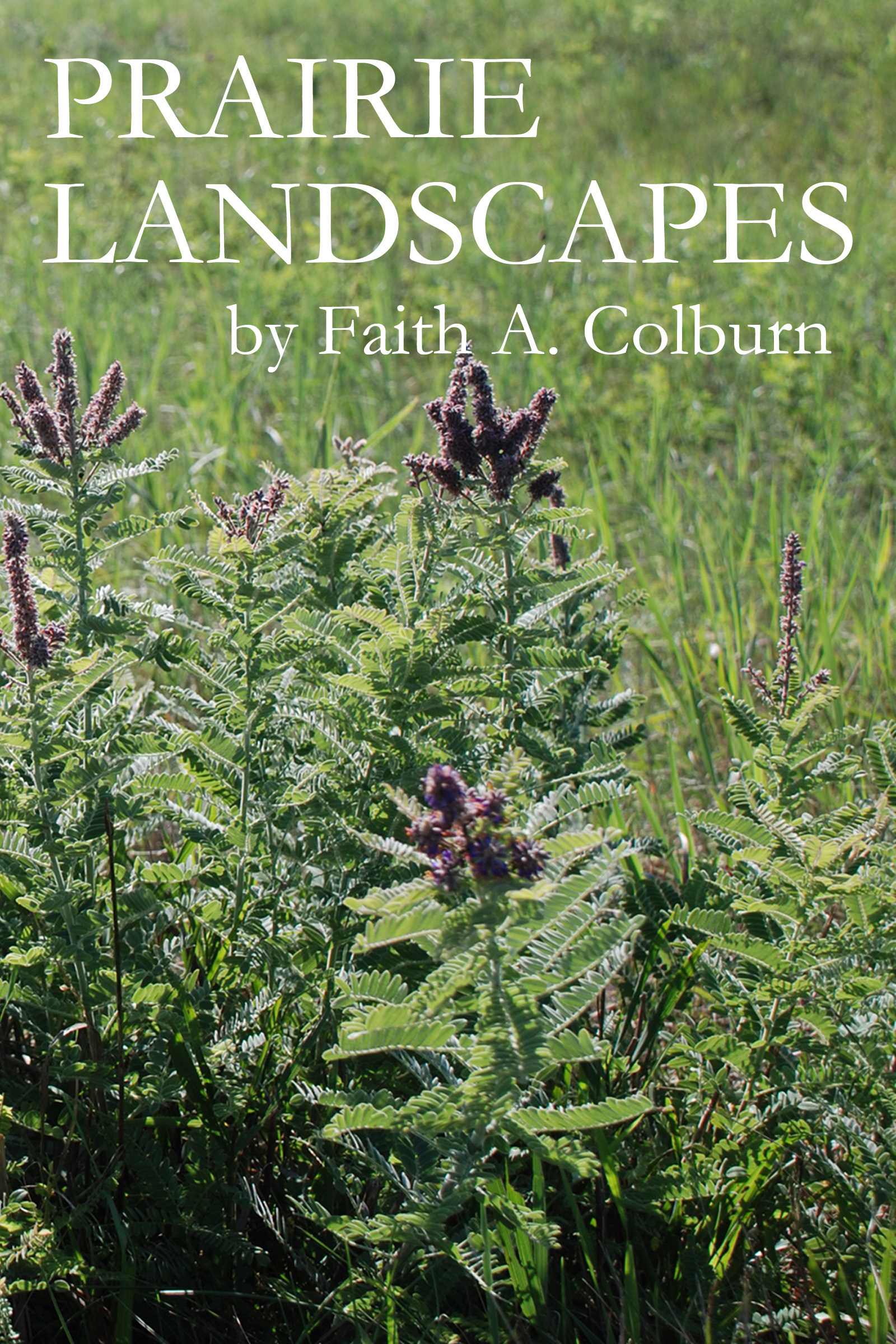 Prairie Landscapes by Faith A. Colburn | Goodreads