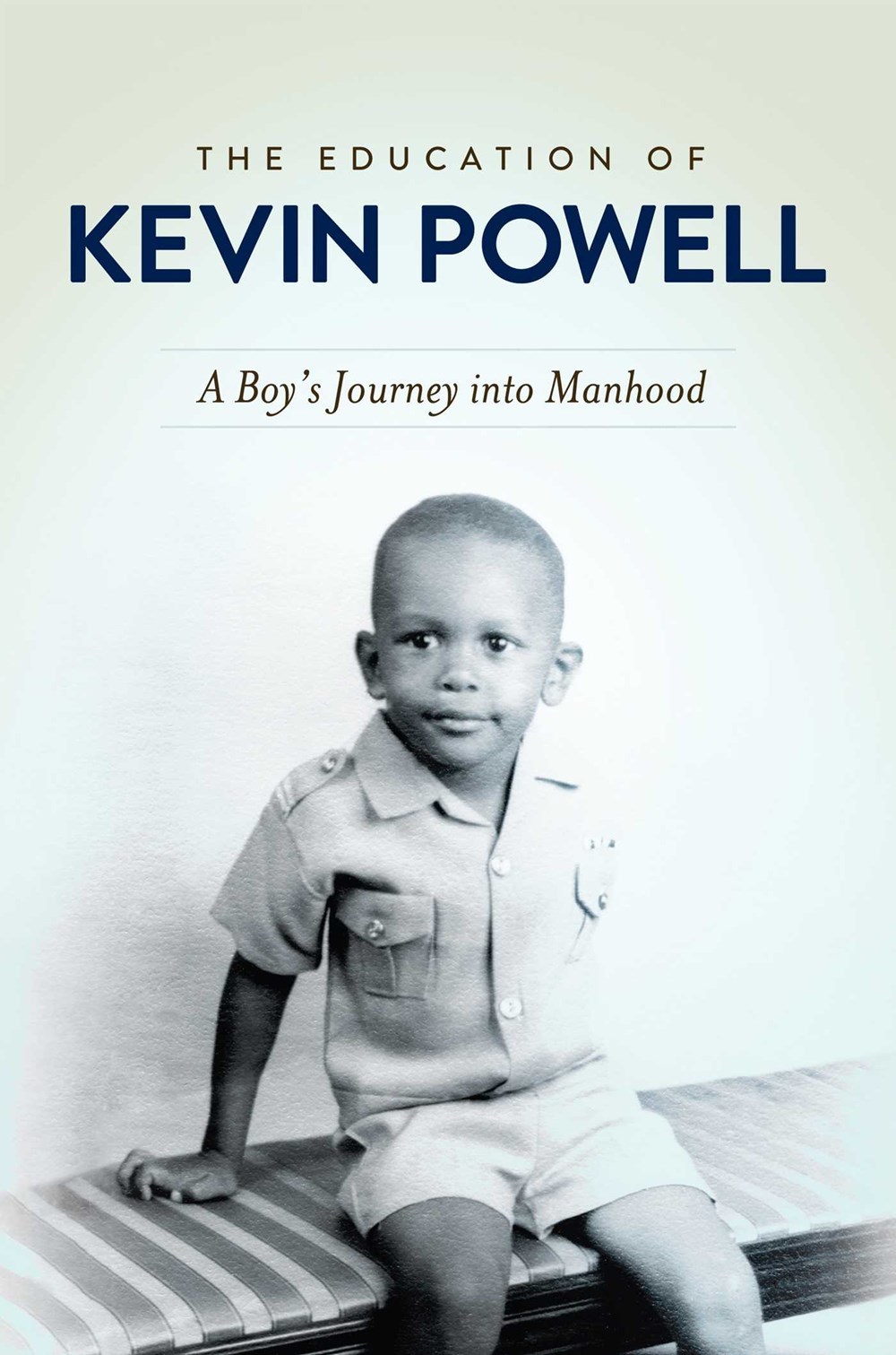 The Education of Kevin Powell : A Boy's Journey into Manhood by Kevin ...