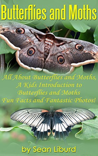 Butterflies and Moths: All about Butterflies and Moths, a Kids ...