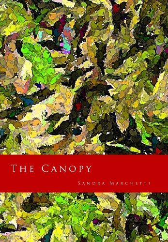 The Canopy by Sandra Marchetti | Goodreads