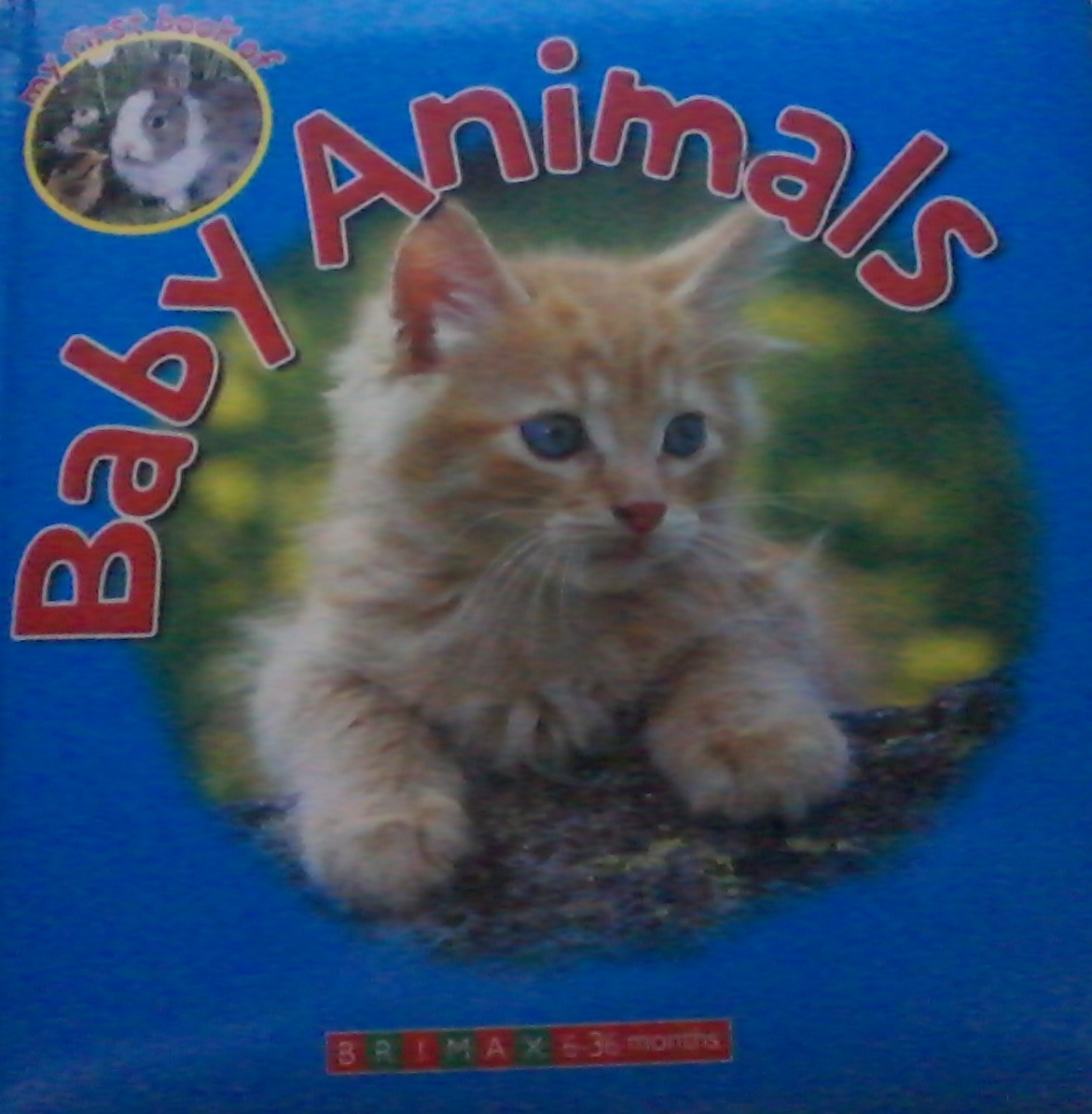My first Book of Baby Animals by Brimax Books | Goodreads