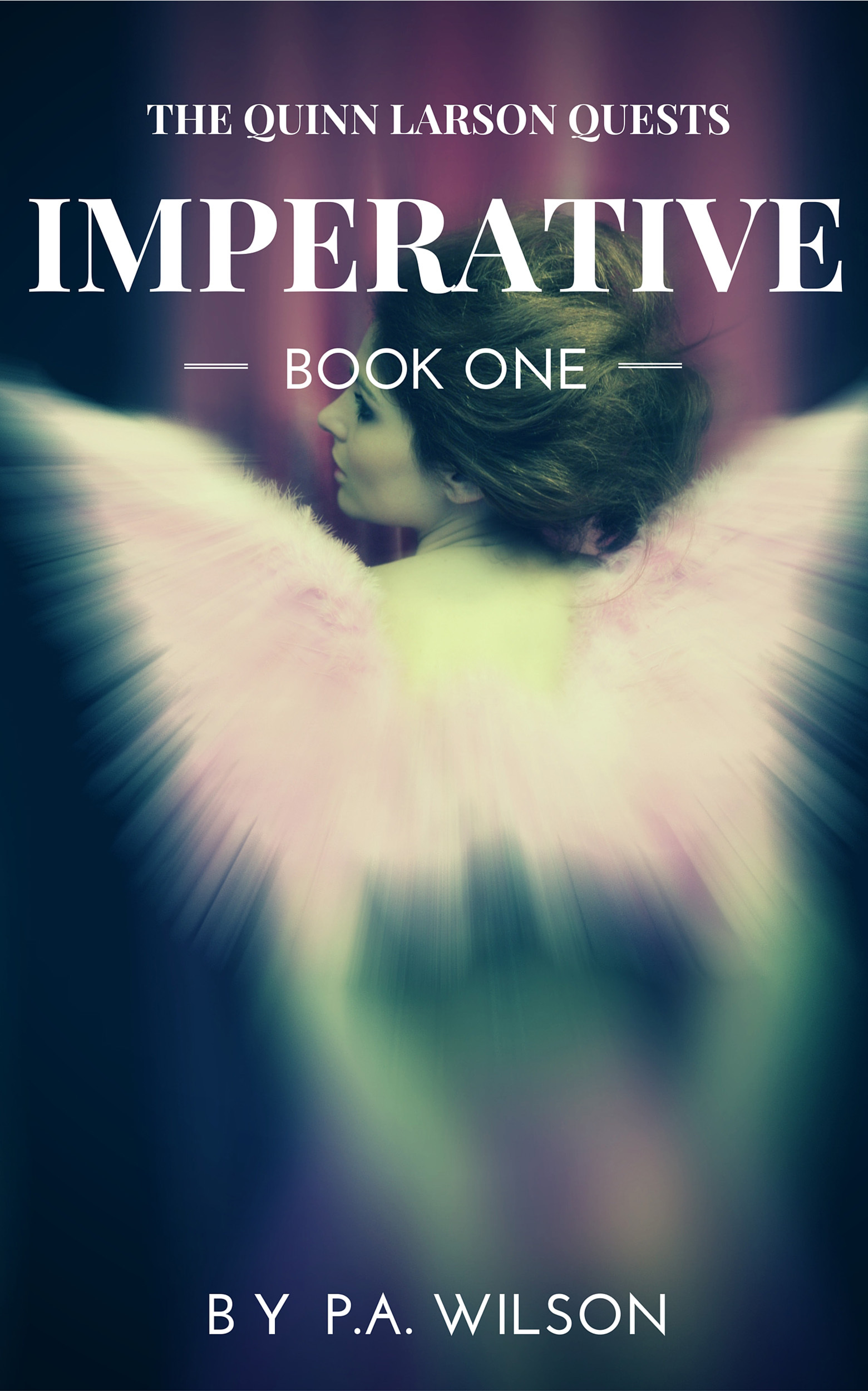 Imperative (The Quinn Larson Quests #1) by P.A. Wilson | Goodreads