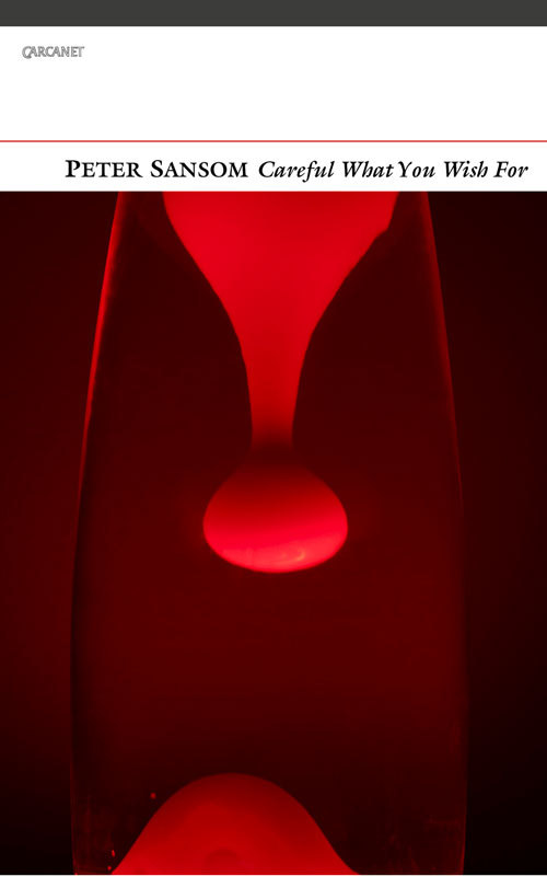 Careful What You Wish For by Peter Sansom | Goodreads