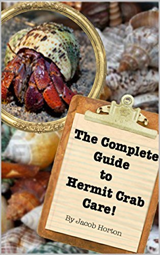 The Complete Guide to Hermit Crab Care! by Jacob Horton | Goodreads