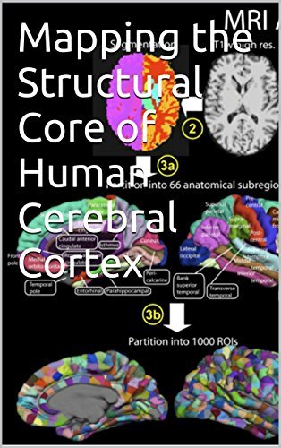 Mapping the Structural Core of Human Cerebral Cortex by Various | Goodreads