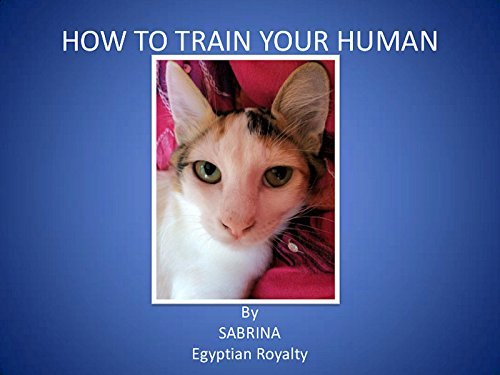 How To Train Your Human by Sheryl Lee | Goodreads