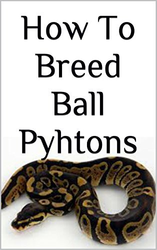 HOW TO BREED BALL PYTHONS | BALL PYTHON BREEDING 101: HOW TO ...