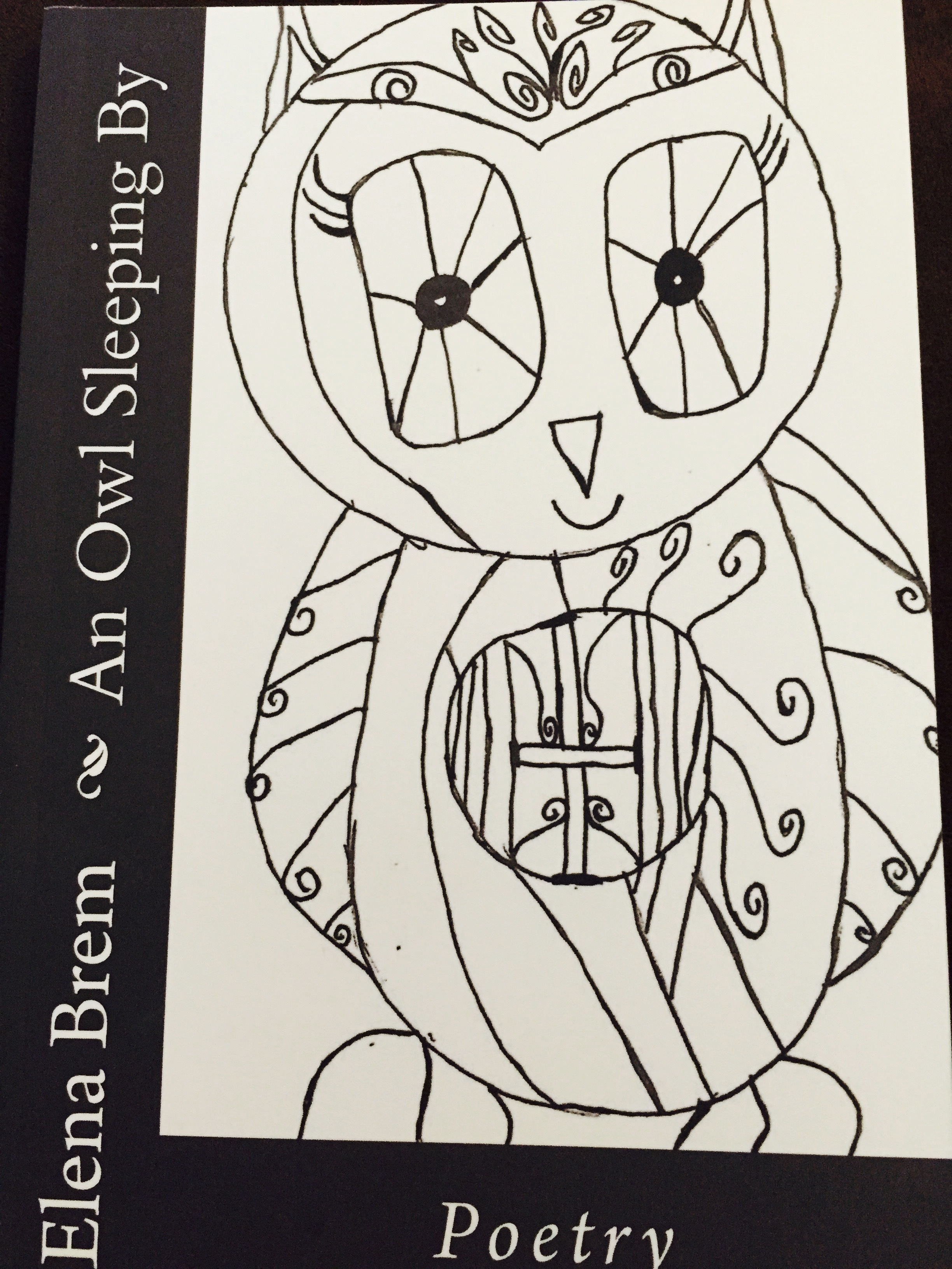 An Owl Sleeping By by Elena Brem | Goodreads