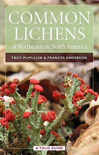 Common Lichens of Northeastern North America: A Field Guide by Troy ...