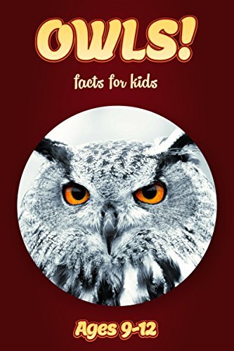 Owl Facts For Kids Ages 9-12: Amazing Animal Facts With Large Size ...