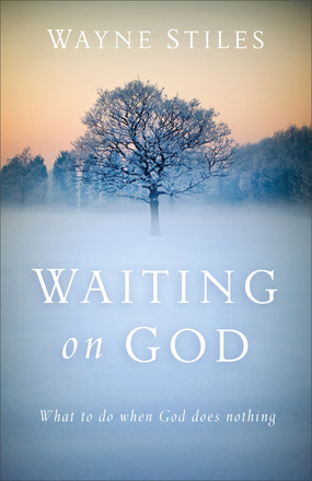 Waiting on God: What to Do When God Does Nothing by Wayne Stiles ...
