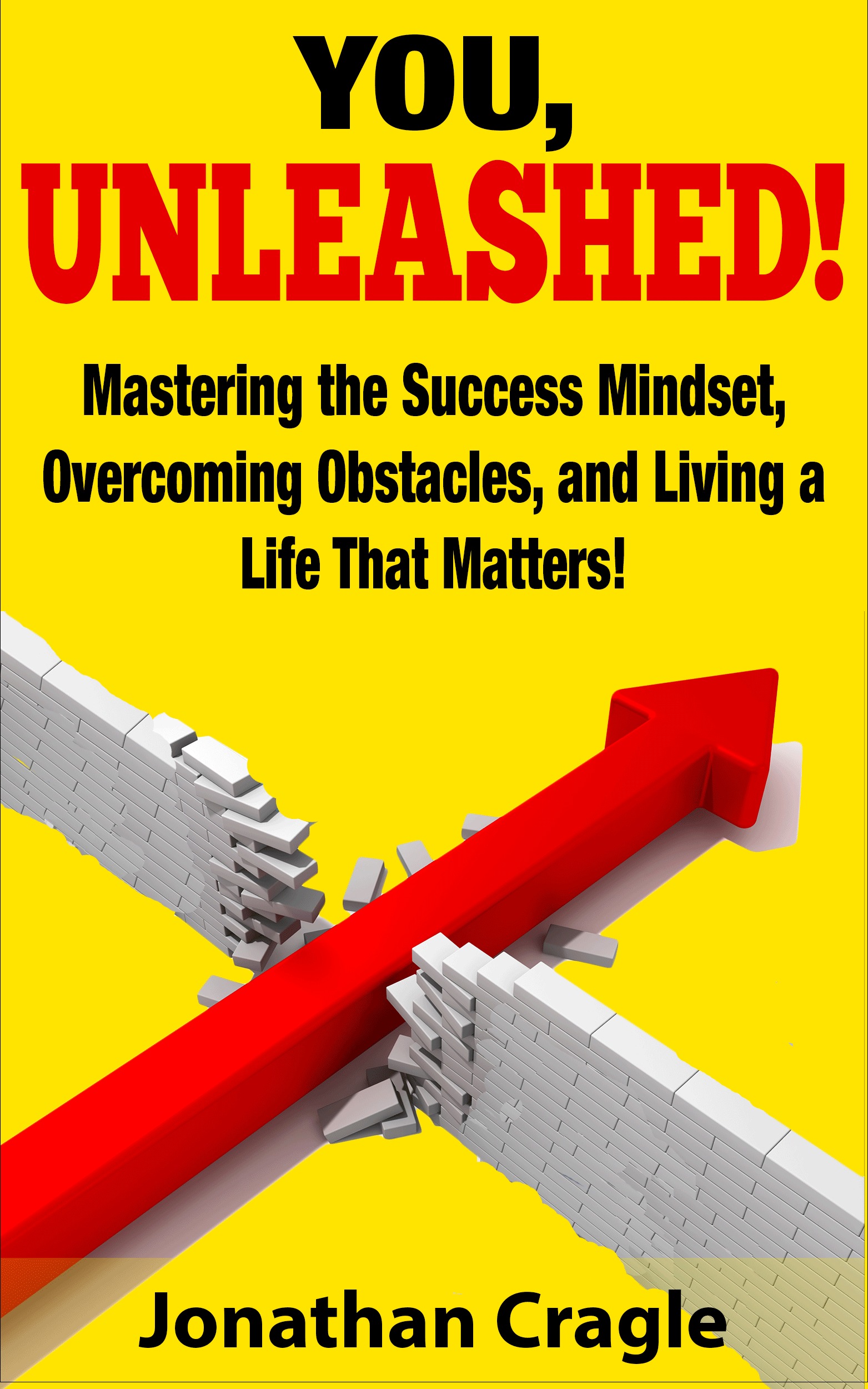 You, UNLEASHED!: Building a Success Mindset, Overcoming Obstacles, and ...