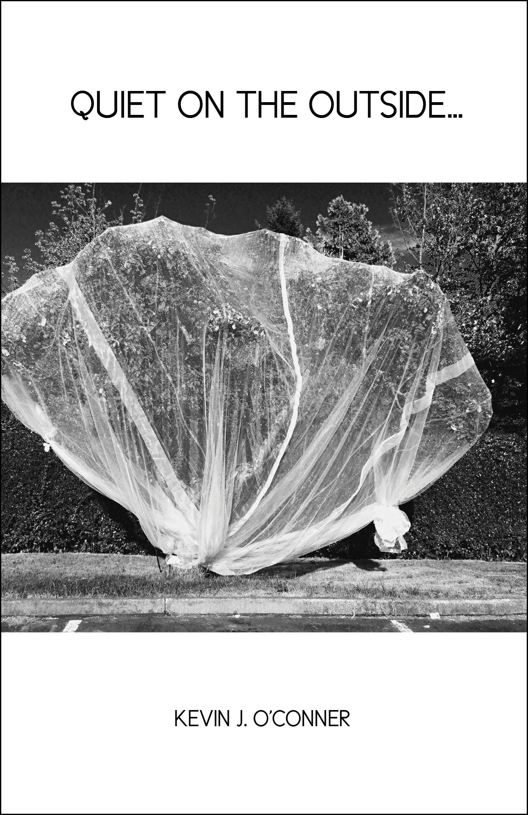 Quiet on the Outside Doesn't Necessarily Mean Quiet on the Inside by ...