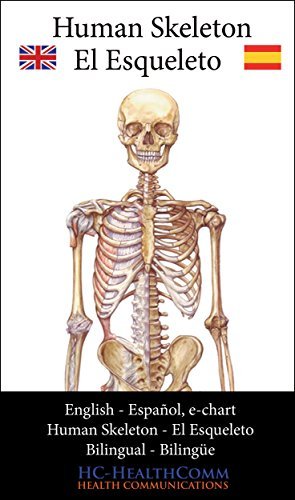 English - Español, e-chart - Human Skeleton - El Esqueleto - Bilingual ...