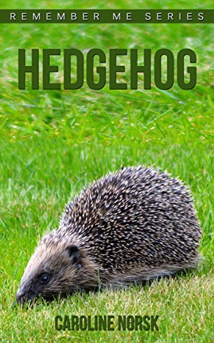 Hedgehog: Amazing Photos & Fun Facts Book About Hedgehog For Kids by ...