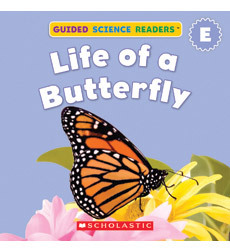 Life of a Butterfly by Lydia Carlin | Goodreads