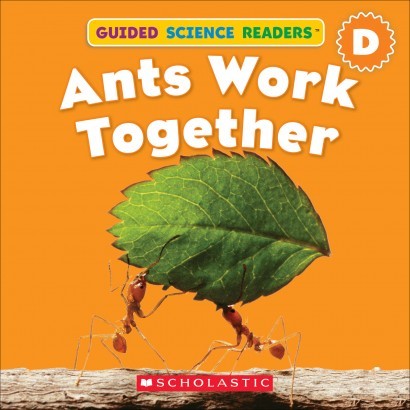 Ants Work Together by Violet Findley | Goodreads