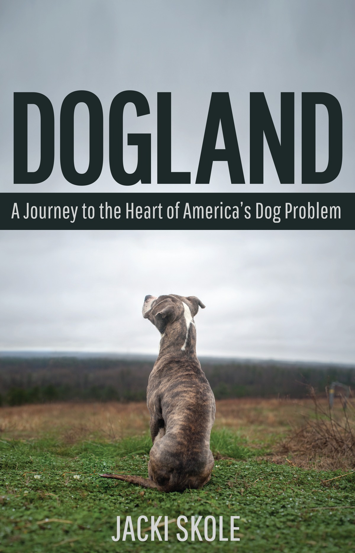 Dogland: A Journey to the Heart of America's Dog Problem by Jacki Skole ...