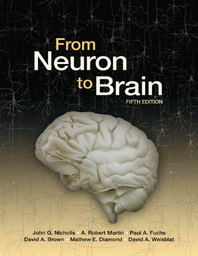 From Neuron to Brain/ Neurons in Action Version 2 by John G. Nicholls ...