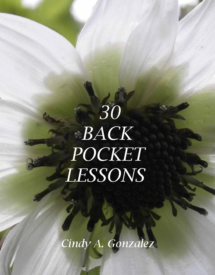 30 Back Pocket Lessons by Cindy A. Gonzalez | Goodreads