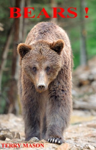 Bears: Childrens Book About Bears -Learn about Bears Behaviour and ...