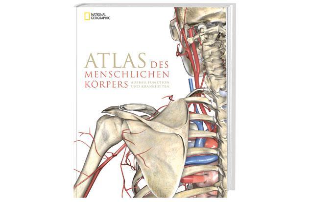 Atlas des menschlichen Körpers: Aufbau, Funktion und Krankheiten by ...