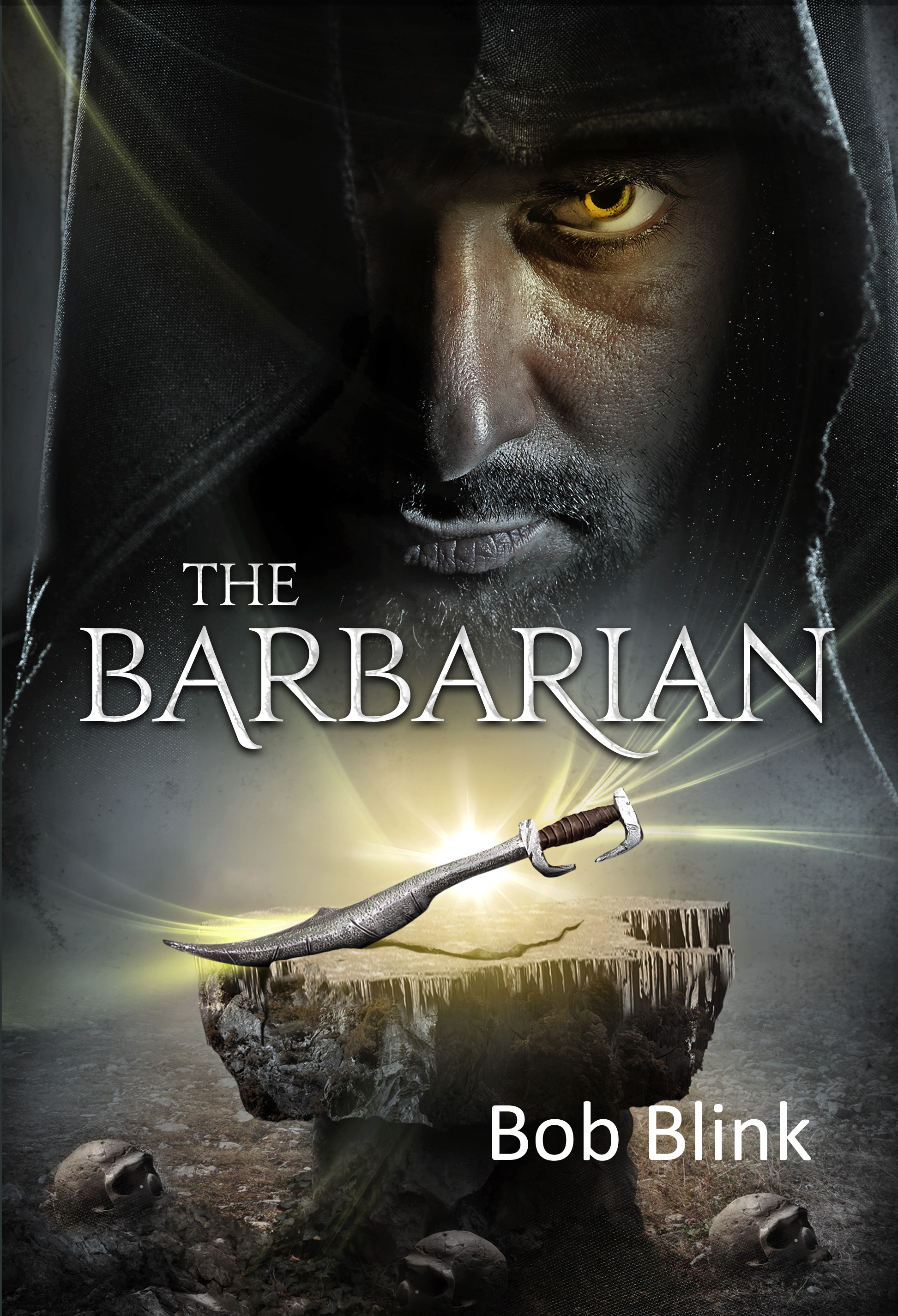 The Barbarian (Lost Protector Saga Book 1) by Bob Blink | Goodreads