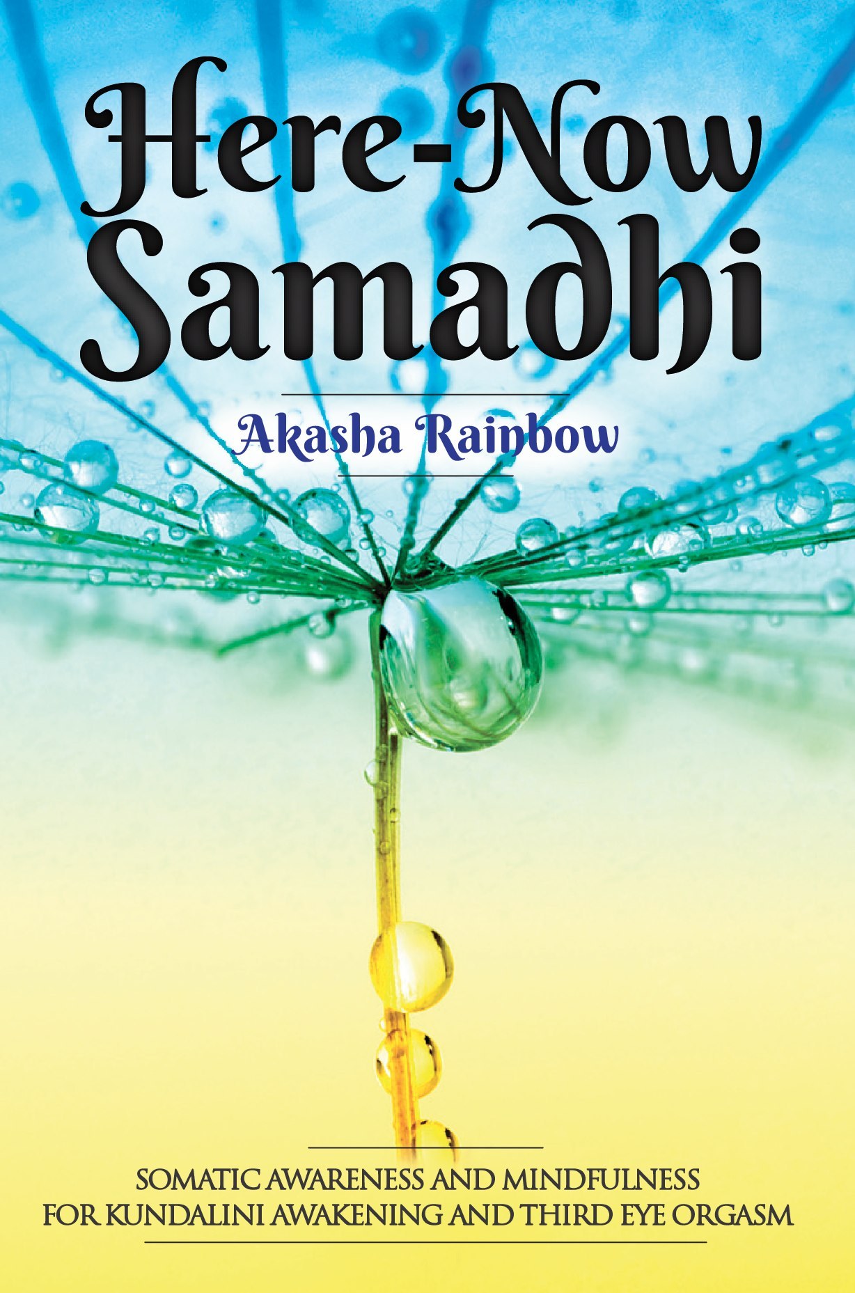 Here - Now Samadhi by Akasha Rainbow | Goodreads