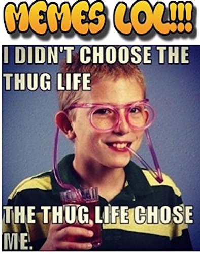 Memes: Super Meme Collection XL LOL by The Bashers Memes | Goodreads