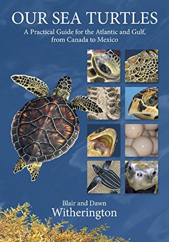 Our Sea Turtles: A Practical Guide for the Atlantic and Gulf, from ...