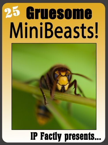 25 Gruesome MiniBeasts! Amazing facts, photos and video links to some ...