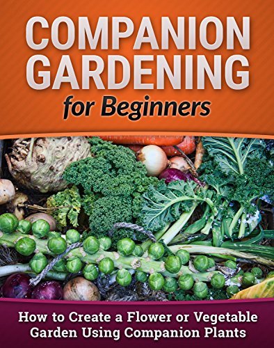 Companion Gardening for Beginners: How to Create a Flower or Vegetable ...