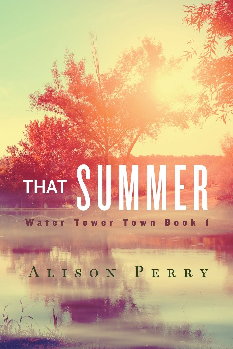 That Summer (Water Tower Town #1) by Alison Perry | Goodreads