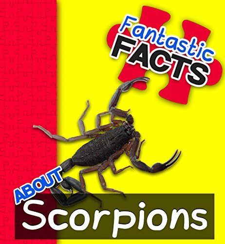 Fantastic Facts About Scorpions: Illustrated Fun Learning For Kids by ...