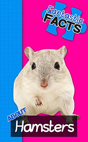 Fantastic Facts About Hamsters: Illustrated Fun Learning For Kids by ...