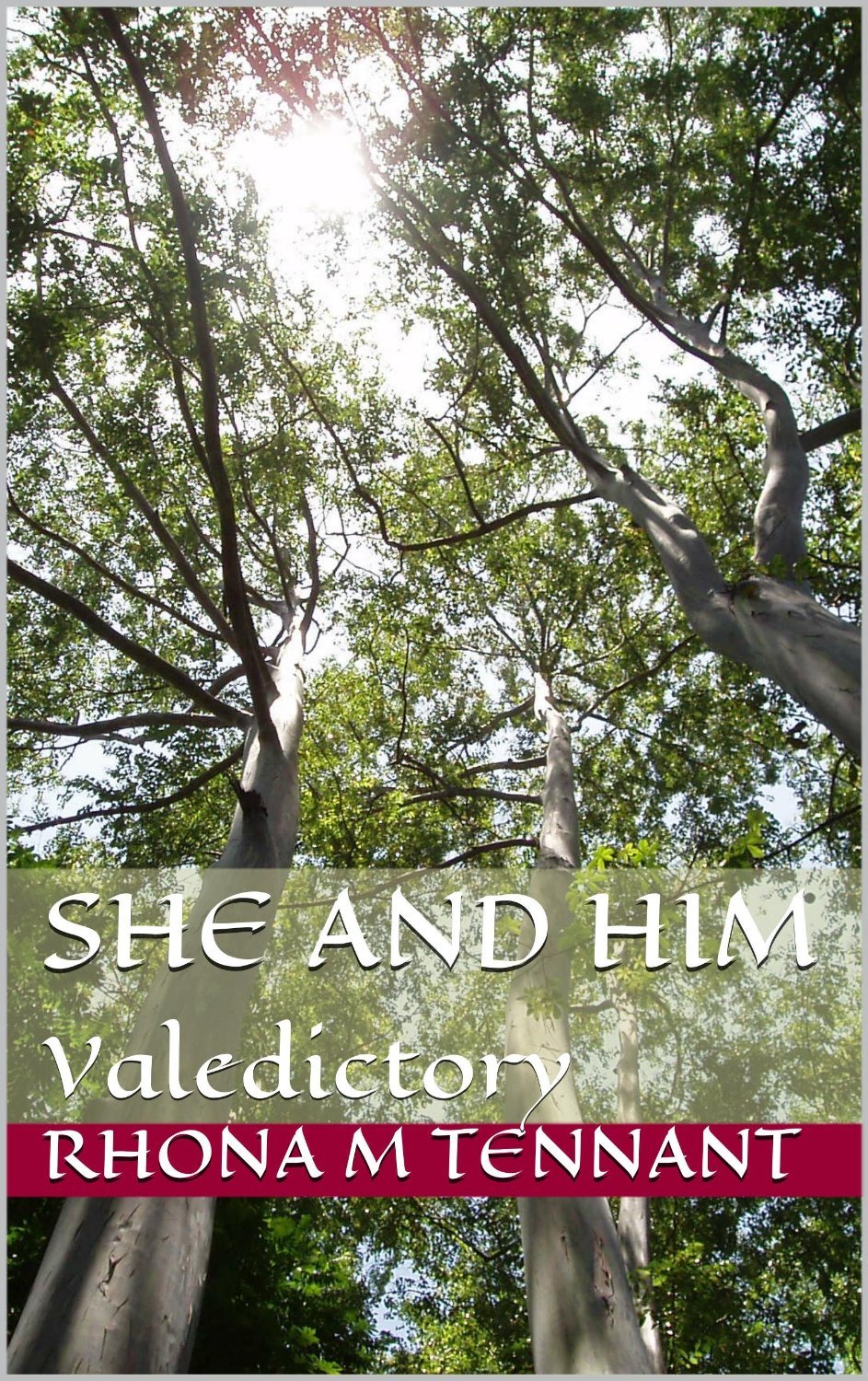She and Him: Valedictory by Rhona M. Tennant | Goodreads