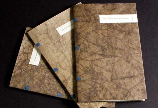 What It Looks Like, How It Flies by Steve Langan | Goodreads