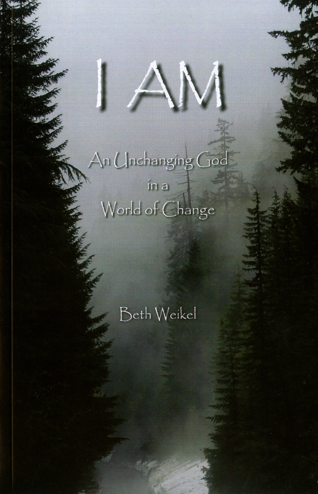 I Am, An Unchanging God in a World of Change by Beth Weikel | Goodreads