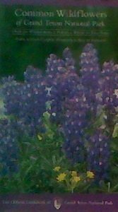 Common Wildflowers of Grand Teton National Park by Charles Craighead ...