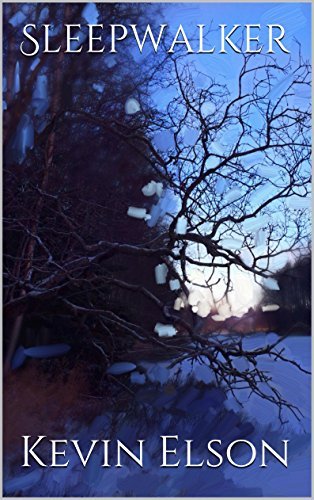 Sleepwalker (The Planeswalker Trilogy Book 1) by Kevin Elson | Goodreads