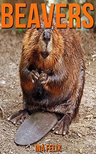Beavers: Children Book of Fun Facts & Amazing Photos on Animals in ...