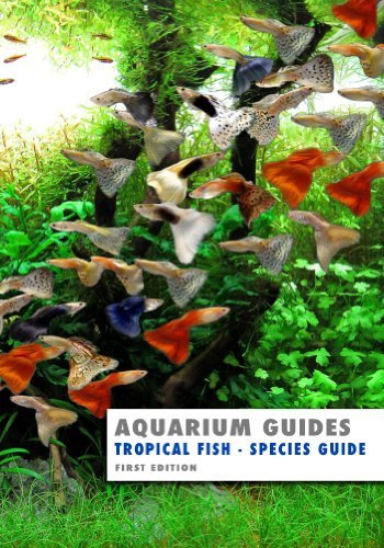 Aquarium Guide: Tropical Fish Species Guide by Kevin Wilson | Goodreads