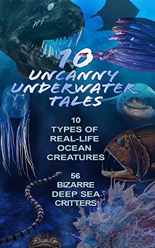 Real Ocean Creatures