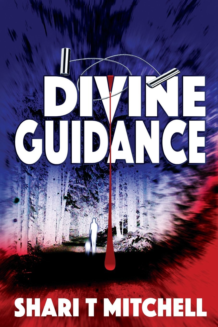 Divine Guidance (Marnie Reilly Mysteries Book 1) by Shari T. Mitchell ...